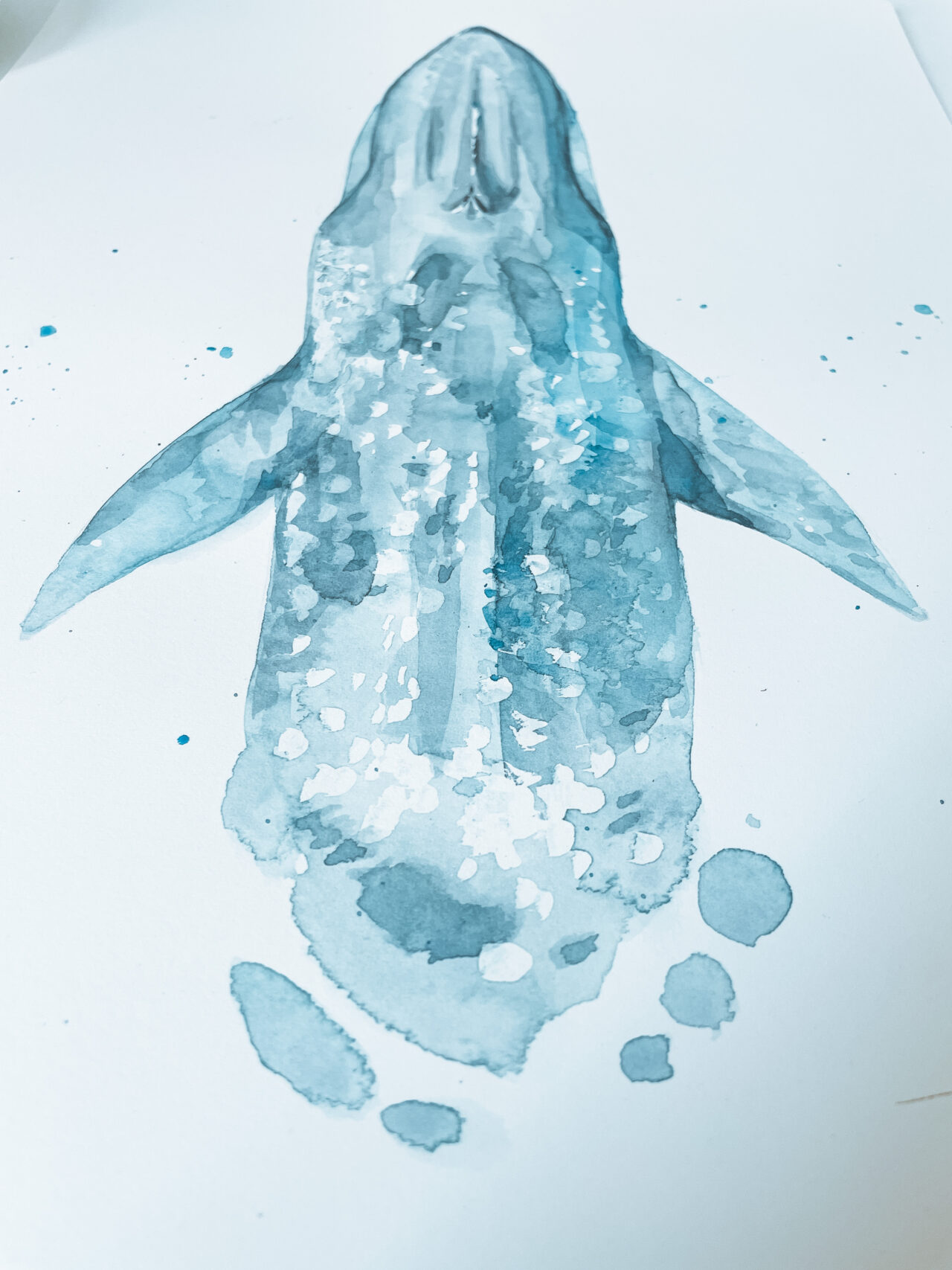 Acuarela Original 'Ballena azul' | Akris Photography & Painting
